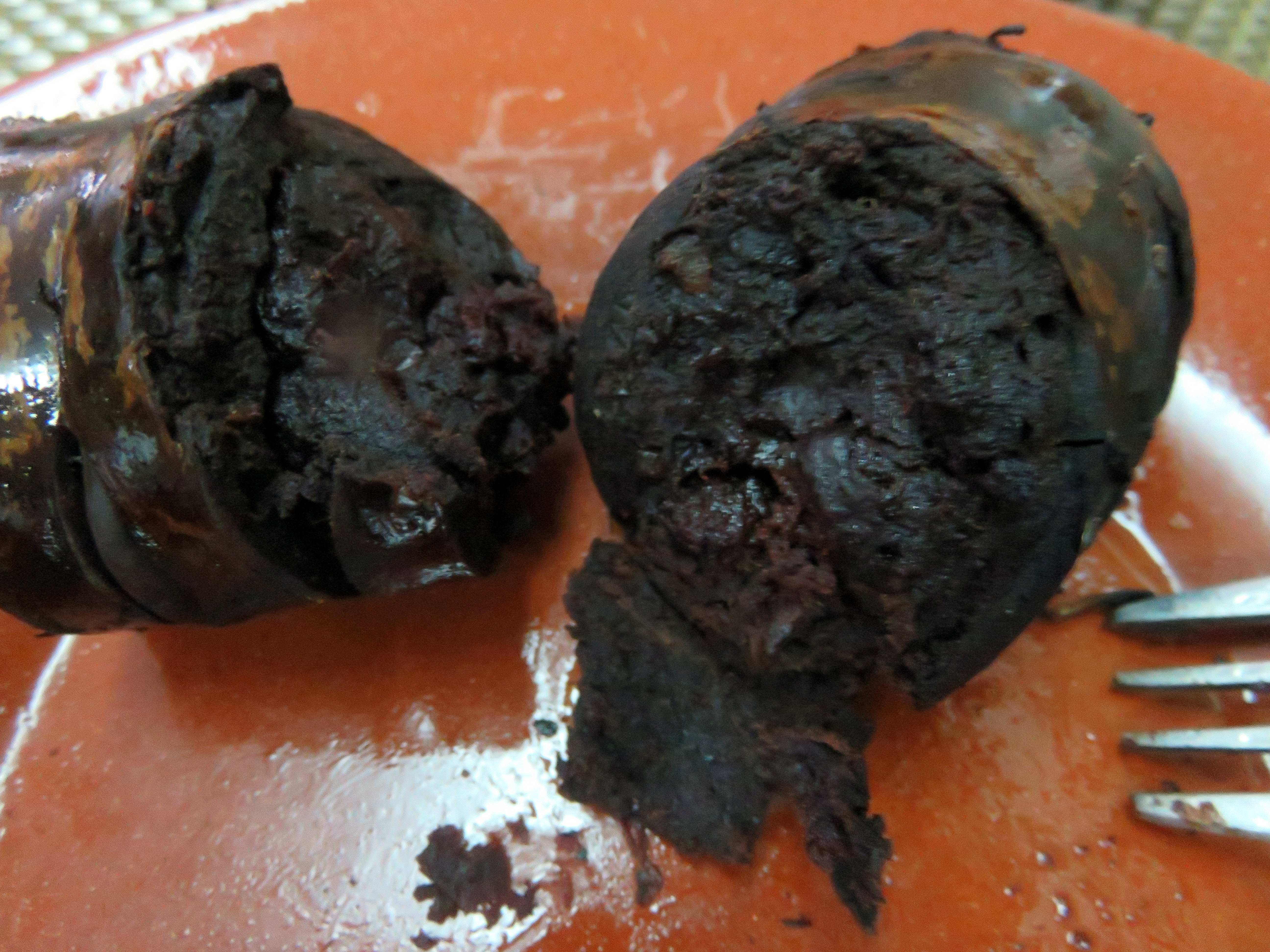 pig blood | Ron Mitchell Adventure Blog